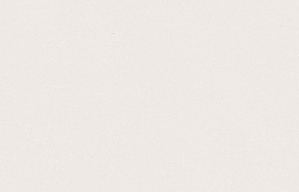 White 02: Off-White Paint - Matt Interior Paint | Lick