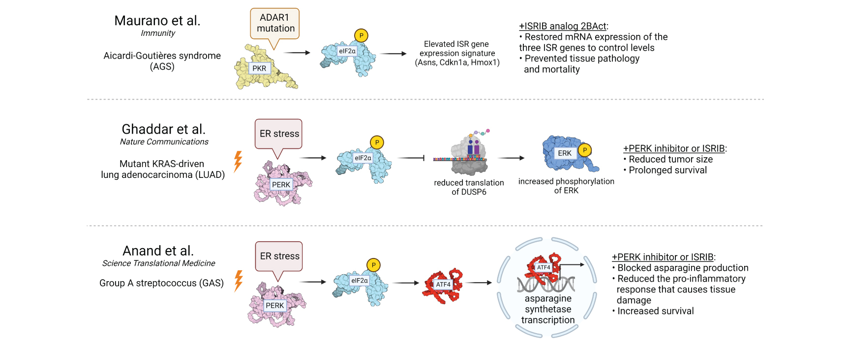 BioCentury - Integrated stress response key to seemingly disparate ...