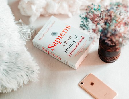 5 Facts From The Book Sapiens You Need To Know