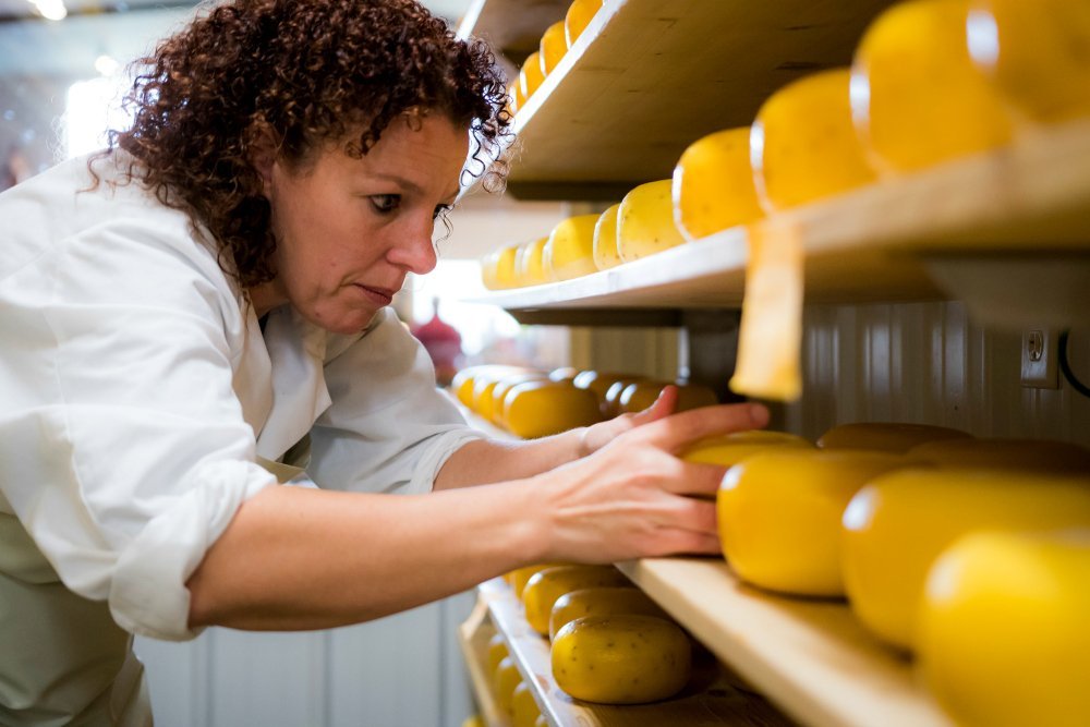 6 Fun Stops on a Wisconsin Cheese Tour Road Trip