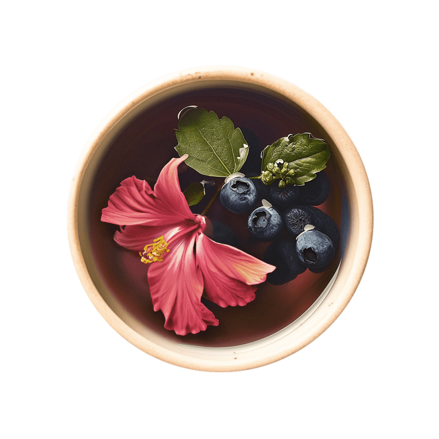 Green Tea Blueberry Slim Life | Yogi Tea