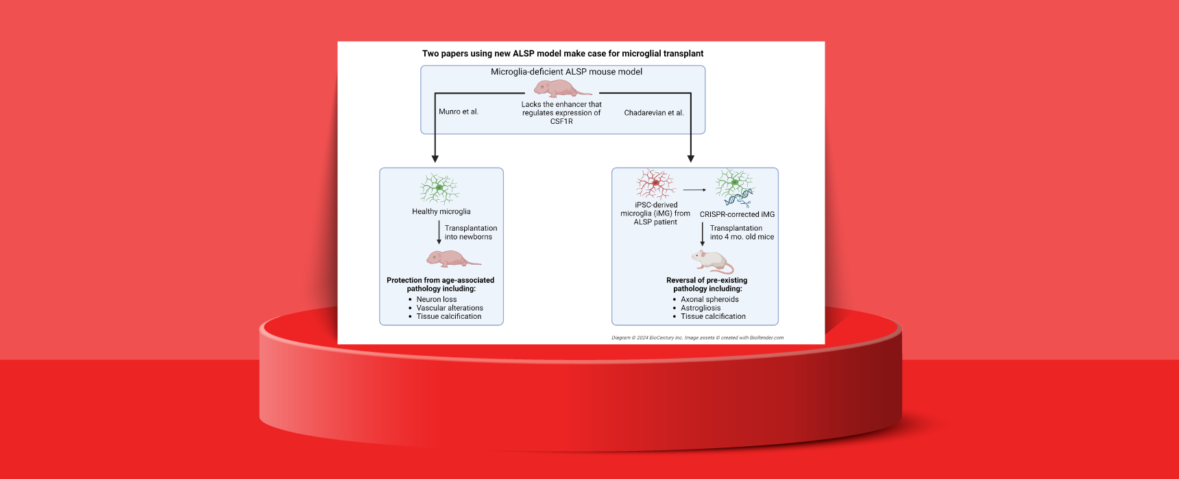 BioCentury - Science Spotlight: Microglial transplantation for ALSP ...