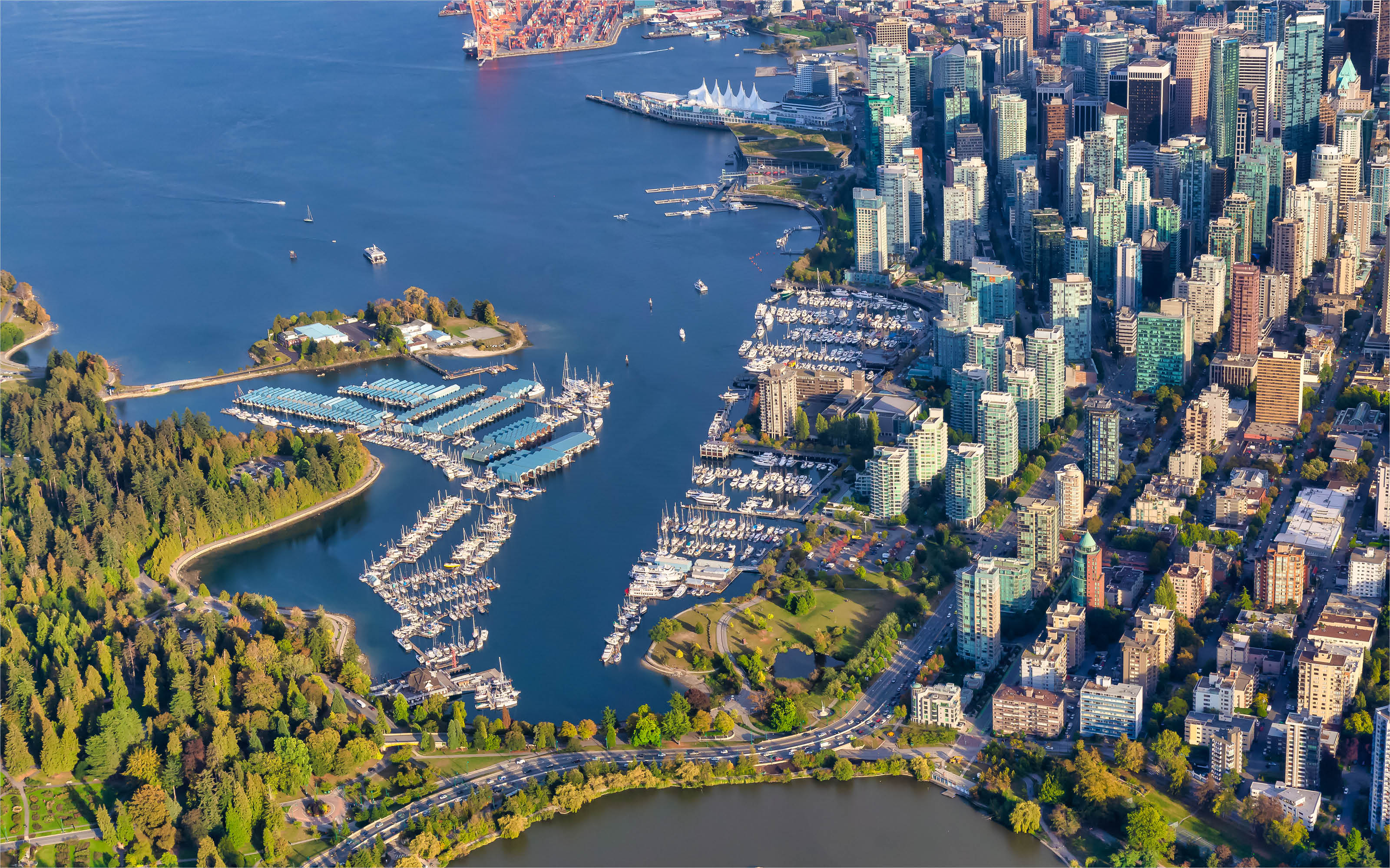 the vancouver rennie advance | June 2024