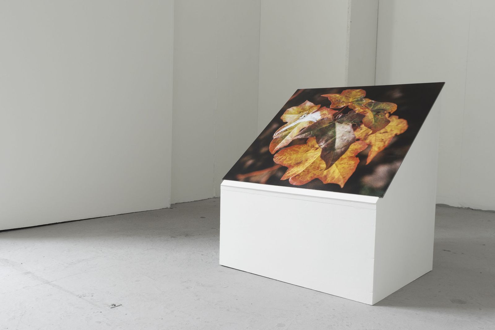 MTU Showcase | Artist: kevin-obrien