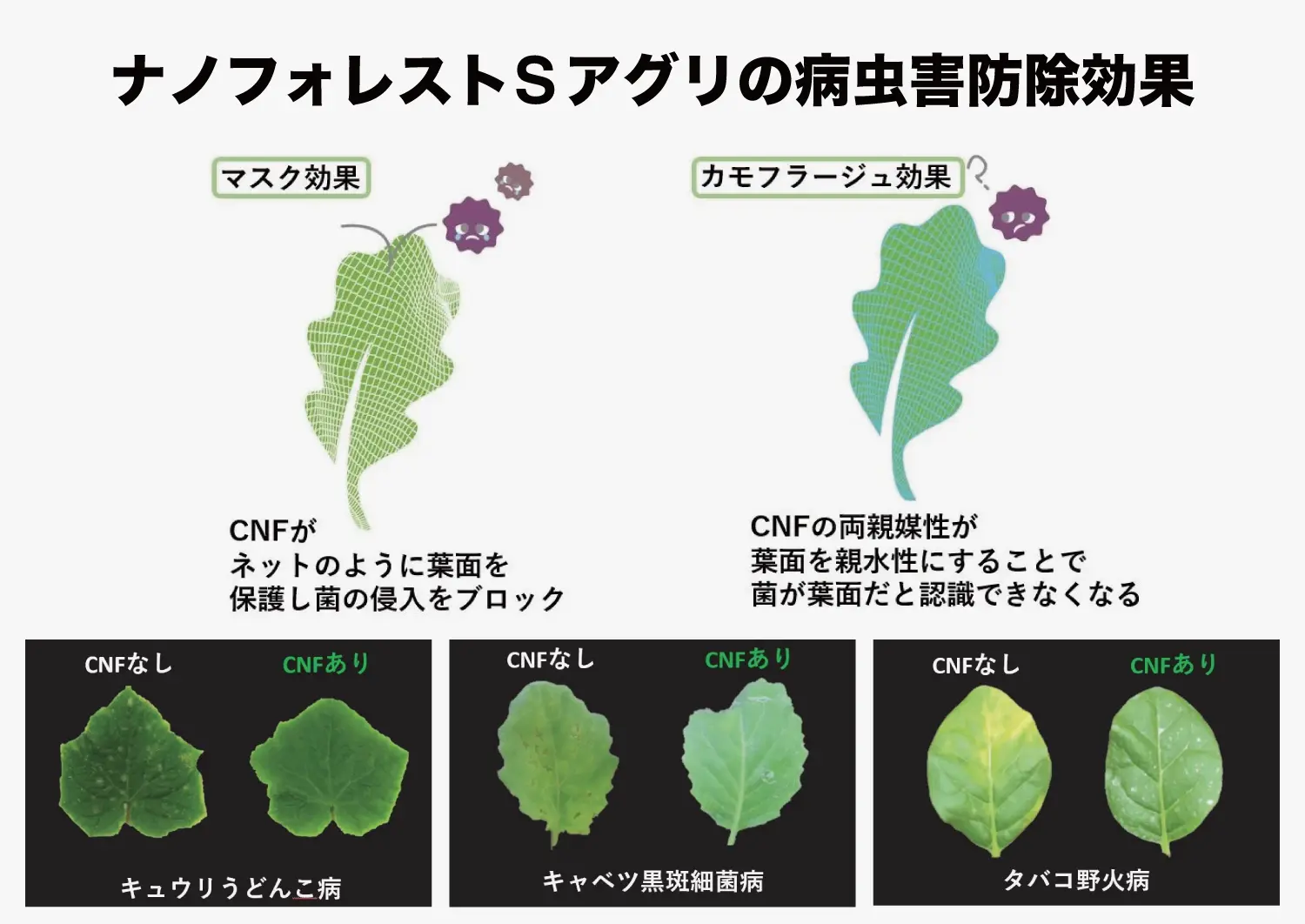 作物の病原菌防除やコスメにも！ セルロースナノファイバーを多用途に展開 中越パルプ工業【気になる「あの企業ニュース」を追いかけろ！ 第9回】