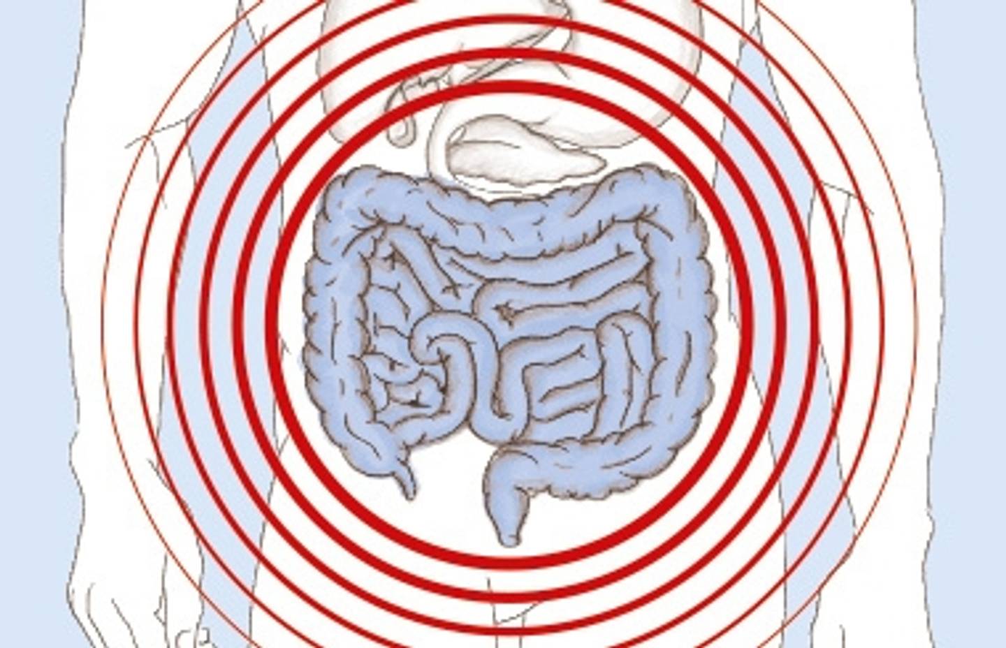 Durchfall: der schnelle Verdauungs-Typ | Bärbel Drexel Blog