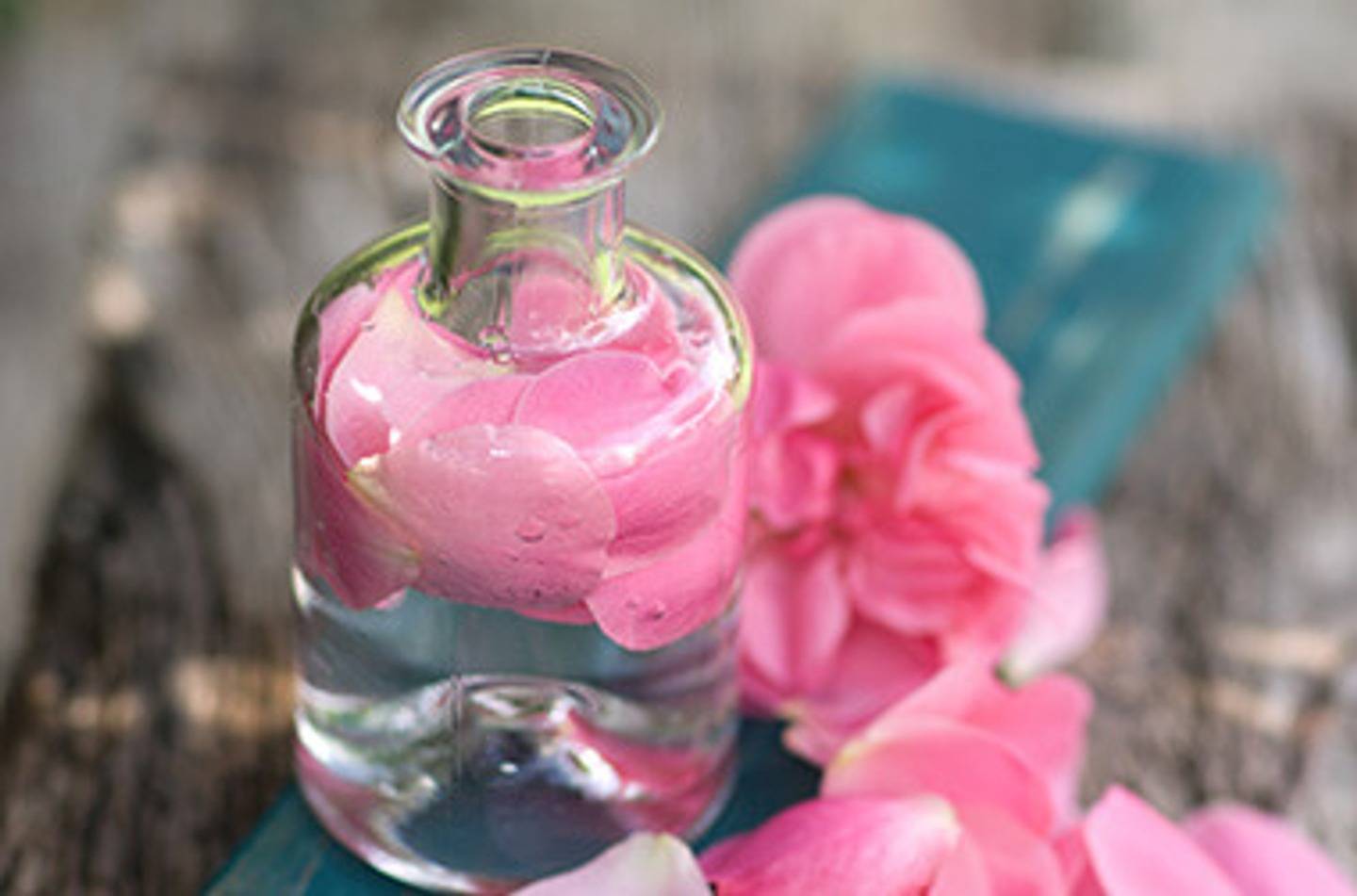 Die Damaszener-Rose: Duft und Hautpflege