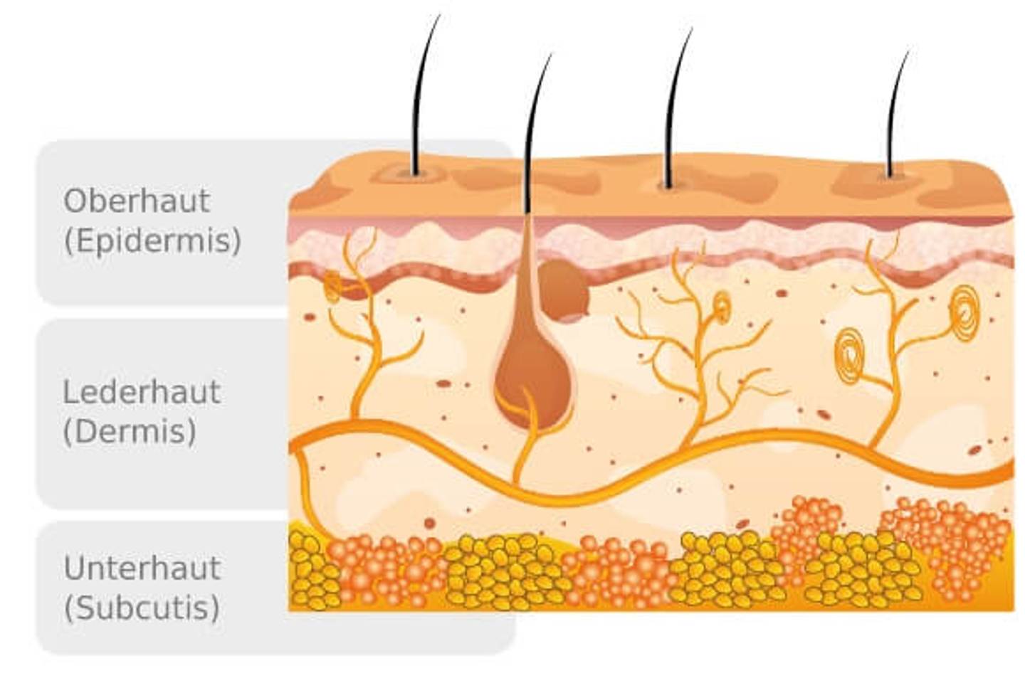 Anti-Aging von innen und außen | Bärbel Drexel Blog
