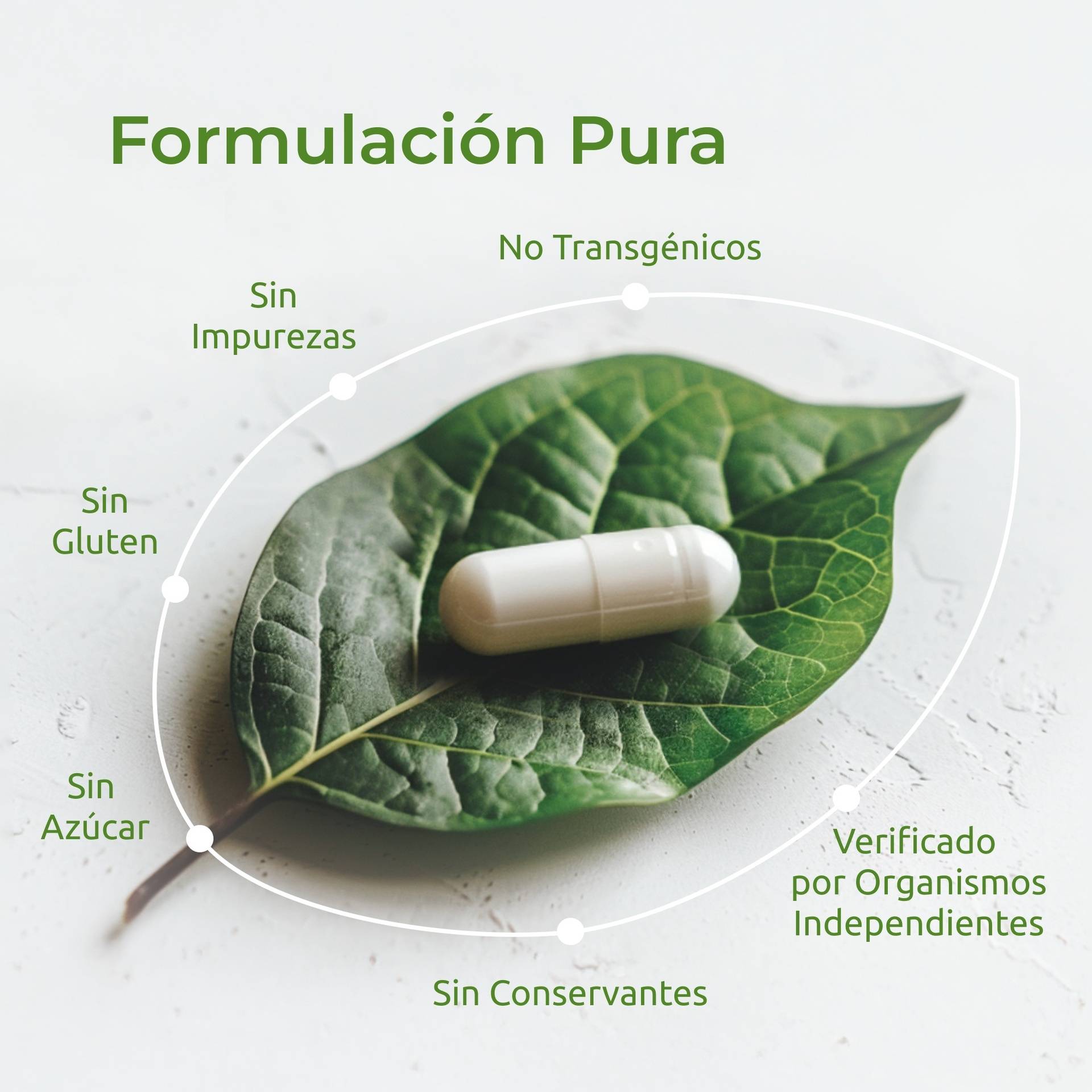 Glicinato de Magnesio 300 cápsulas | VitaminExpress