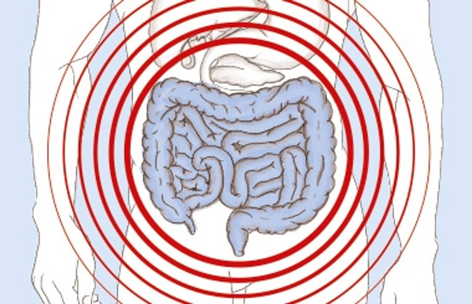 Durchfall: der schnelle Verdauungs-Typ | Bärbel Drexel Blog