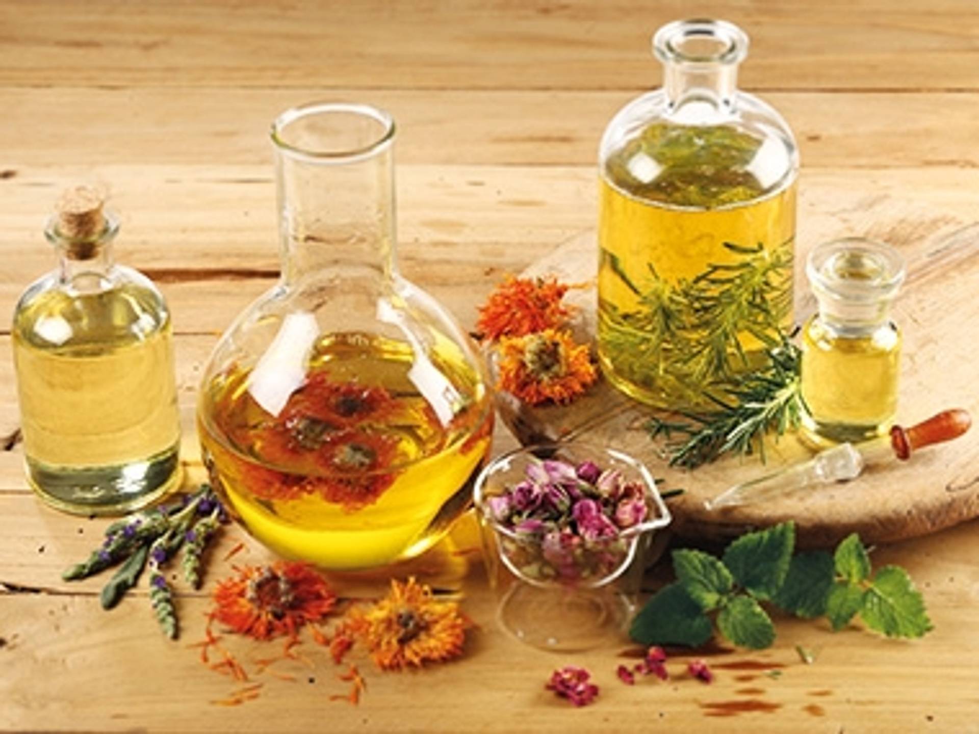 Pflanzenextrakte | Bärbel Drexel Lexikon