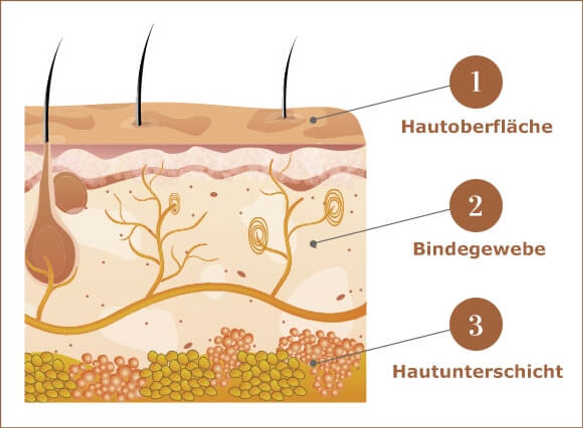 Schöne Haut braucht Nahrung | Bärbel Drexel Blog