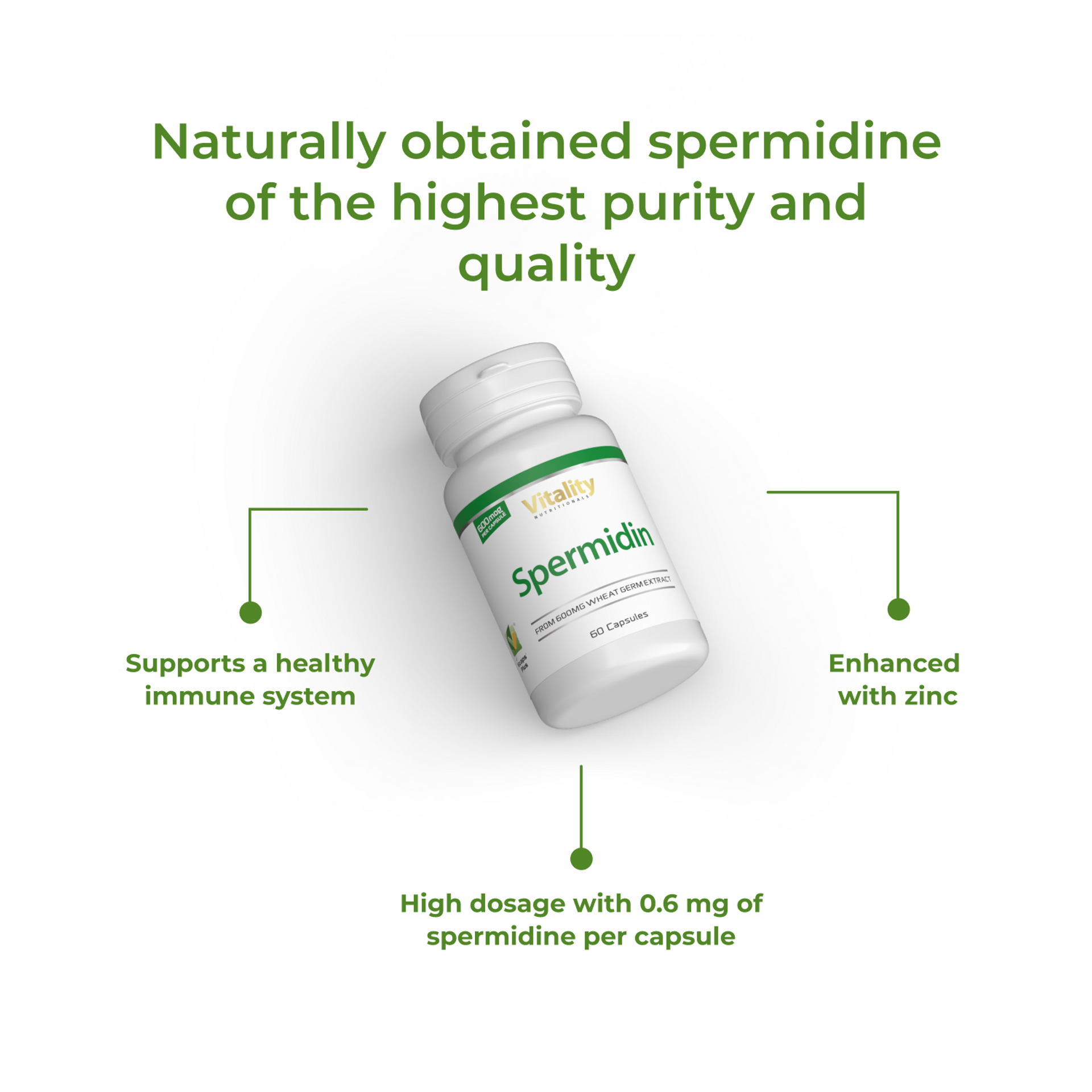Order Spermidin | VitaminExpress