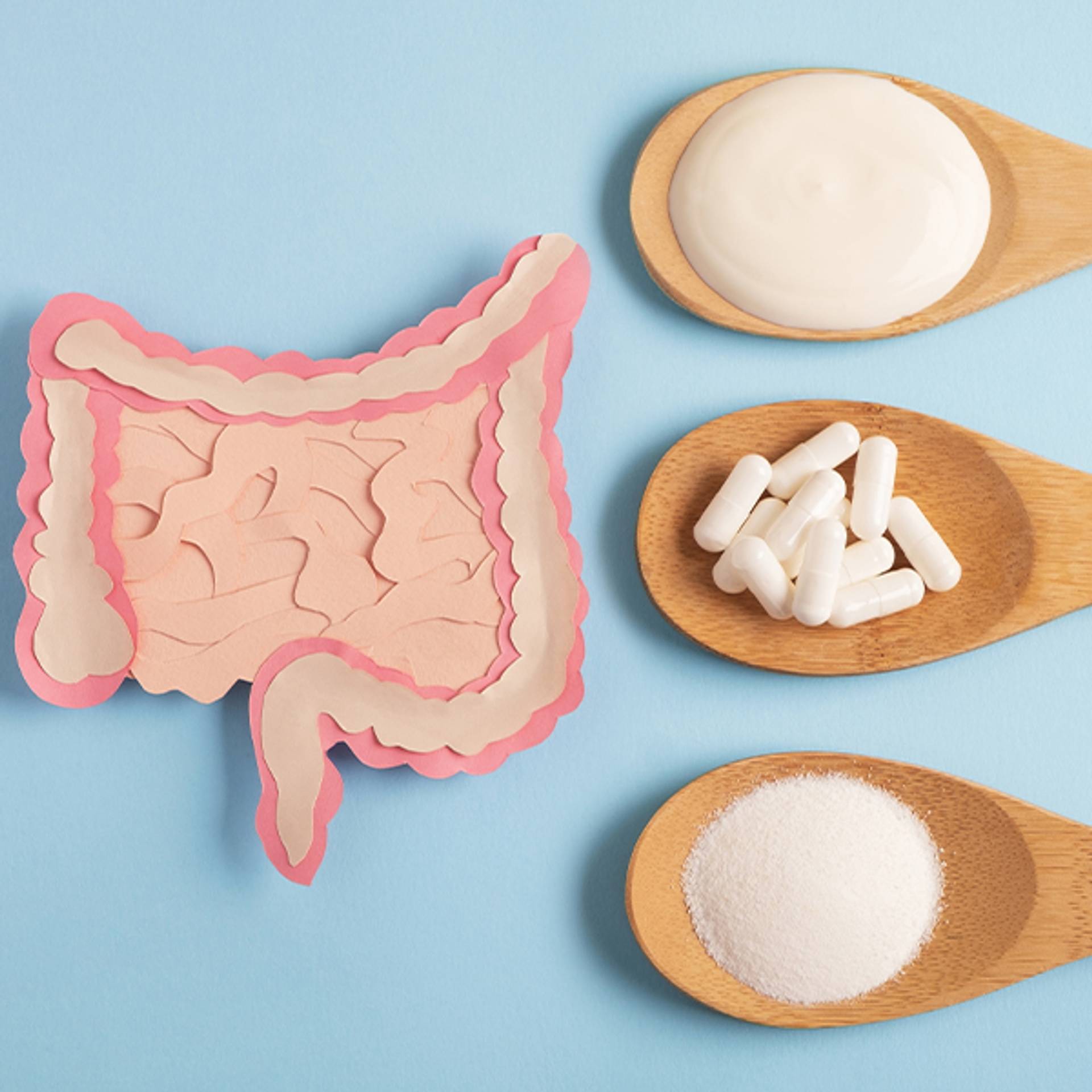 Probiotics - effects, dosage, side effects - VitaminExpress