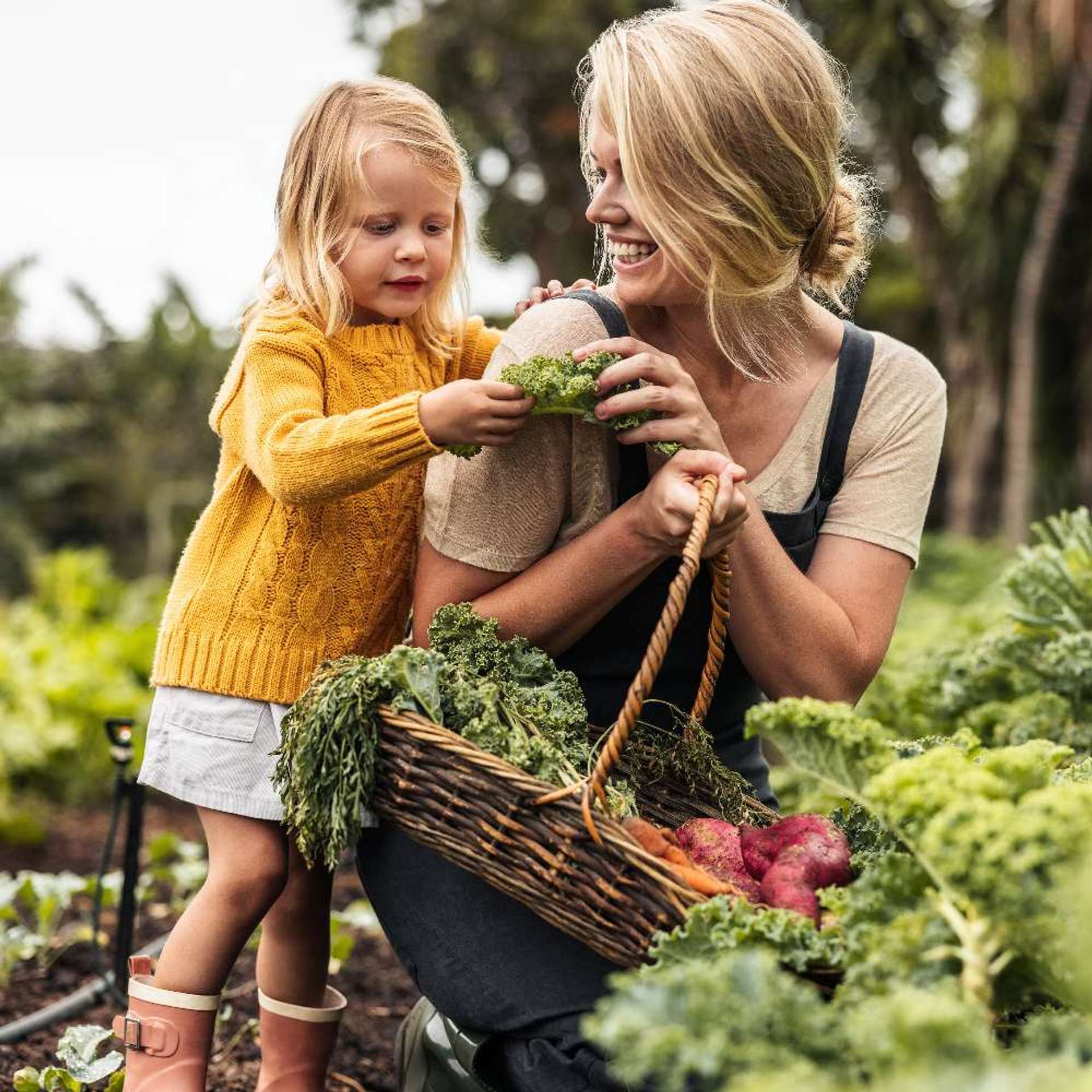 VitaminExpress: Kjøp vitaminer og kosttilskudd på nett