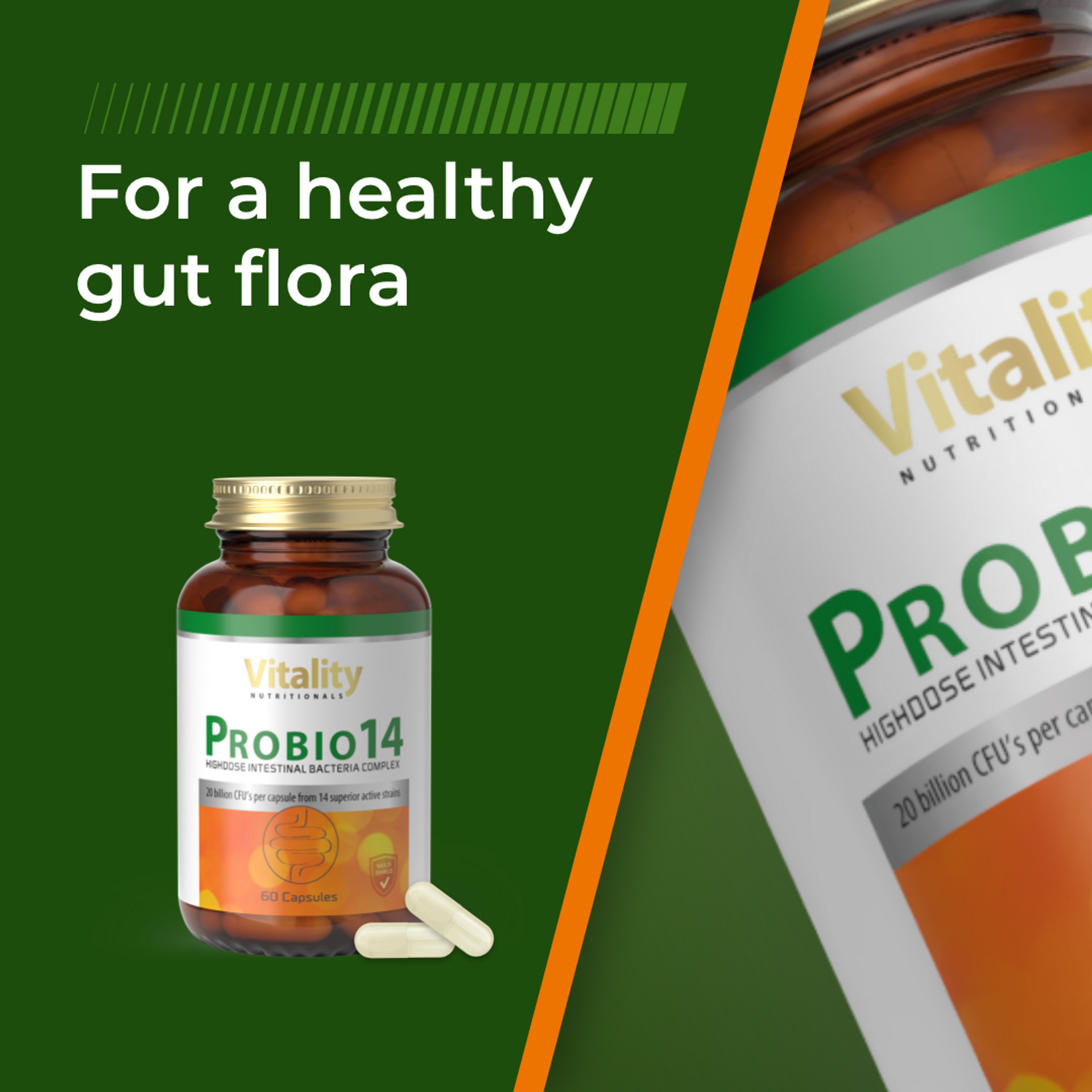 Vitamin Shop: Buy Vitamins and Supplements at VitaminExpress