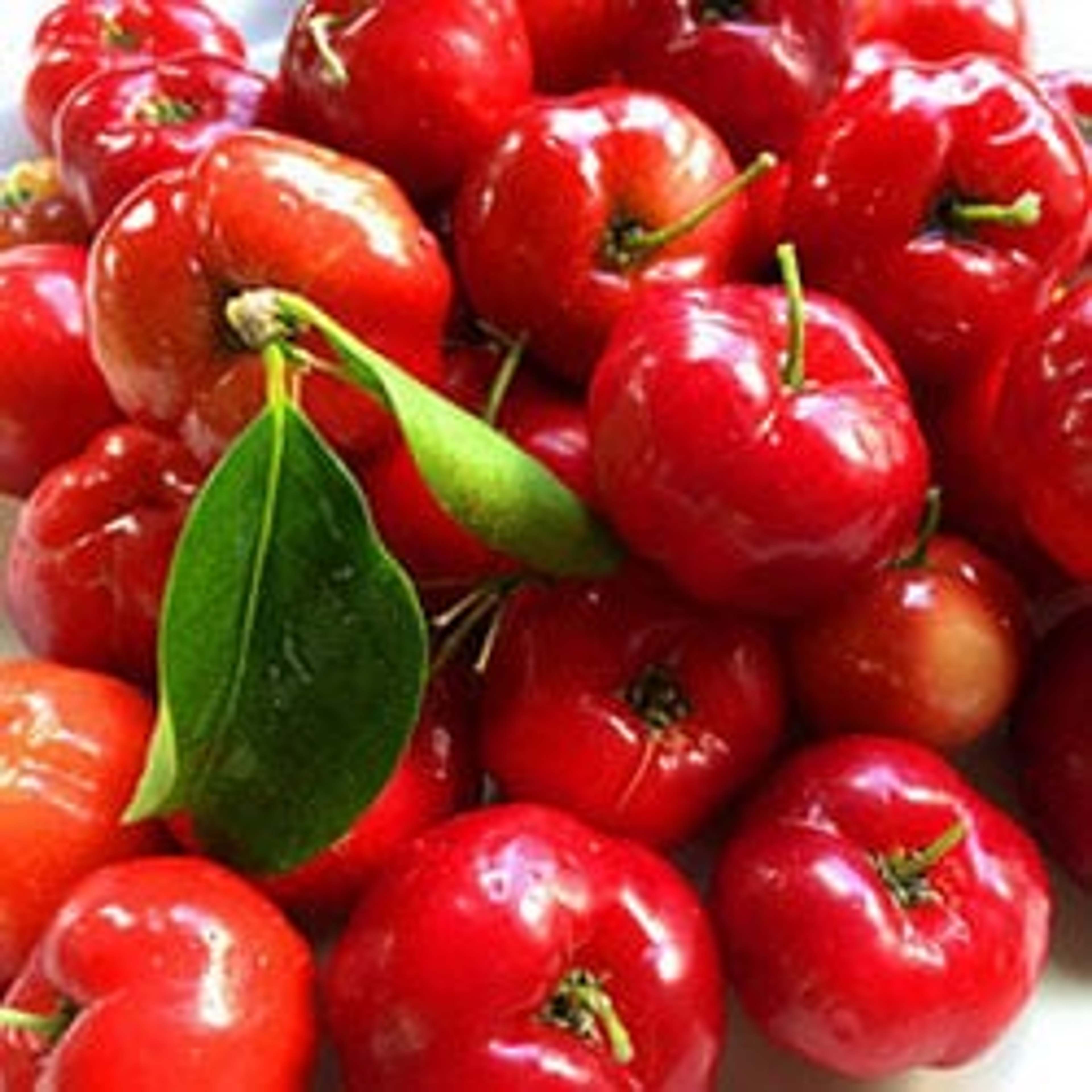 Acerola - effects, dosage, side effects - VitaminExpress