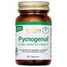 Pycnogenol 100 mg bestellen | Vitaminexpress