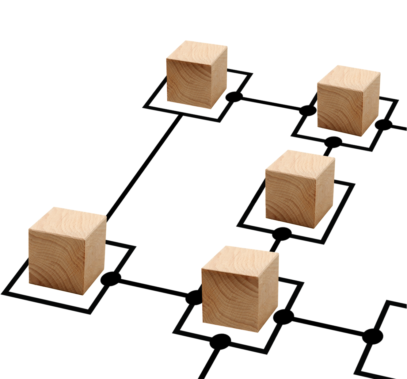Truenary Solutions