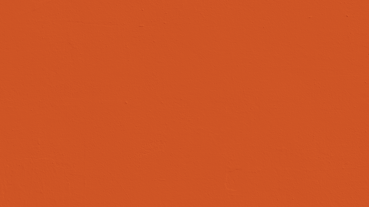 Orange 01: Blood Orange Paint - Matt Emulsion Paint | Lick