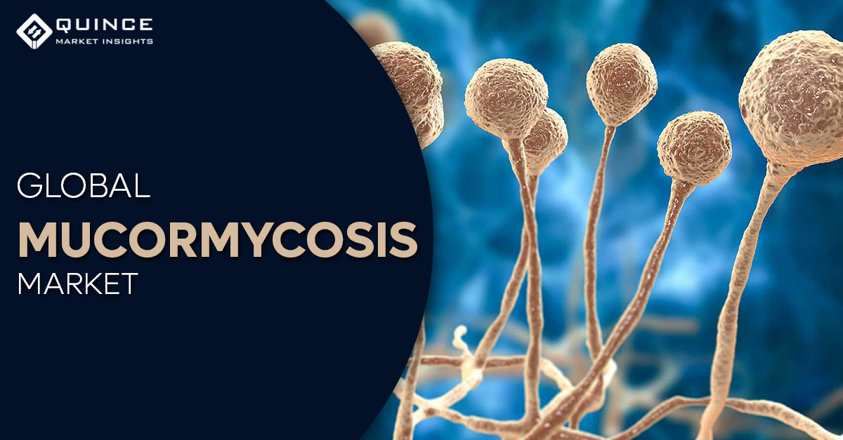 QMI Insights Blog | Mucormycosis Treatment, Detection, Challenges ...