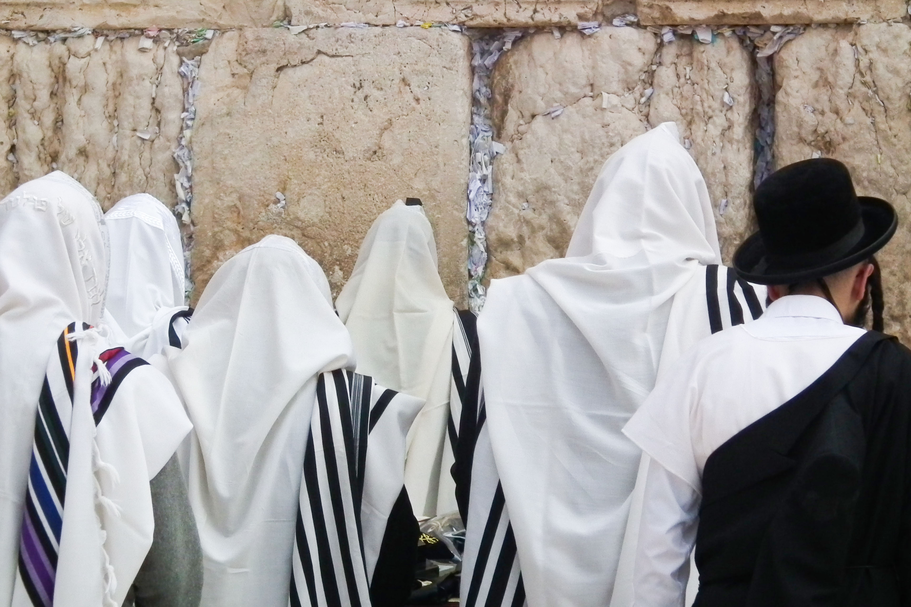 Shelach | Torah Portions | FFOZ