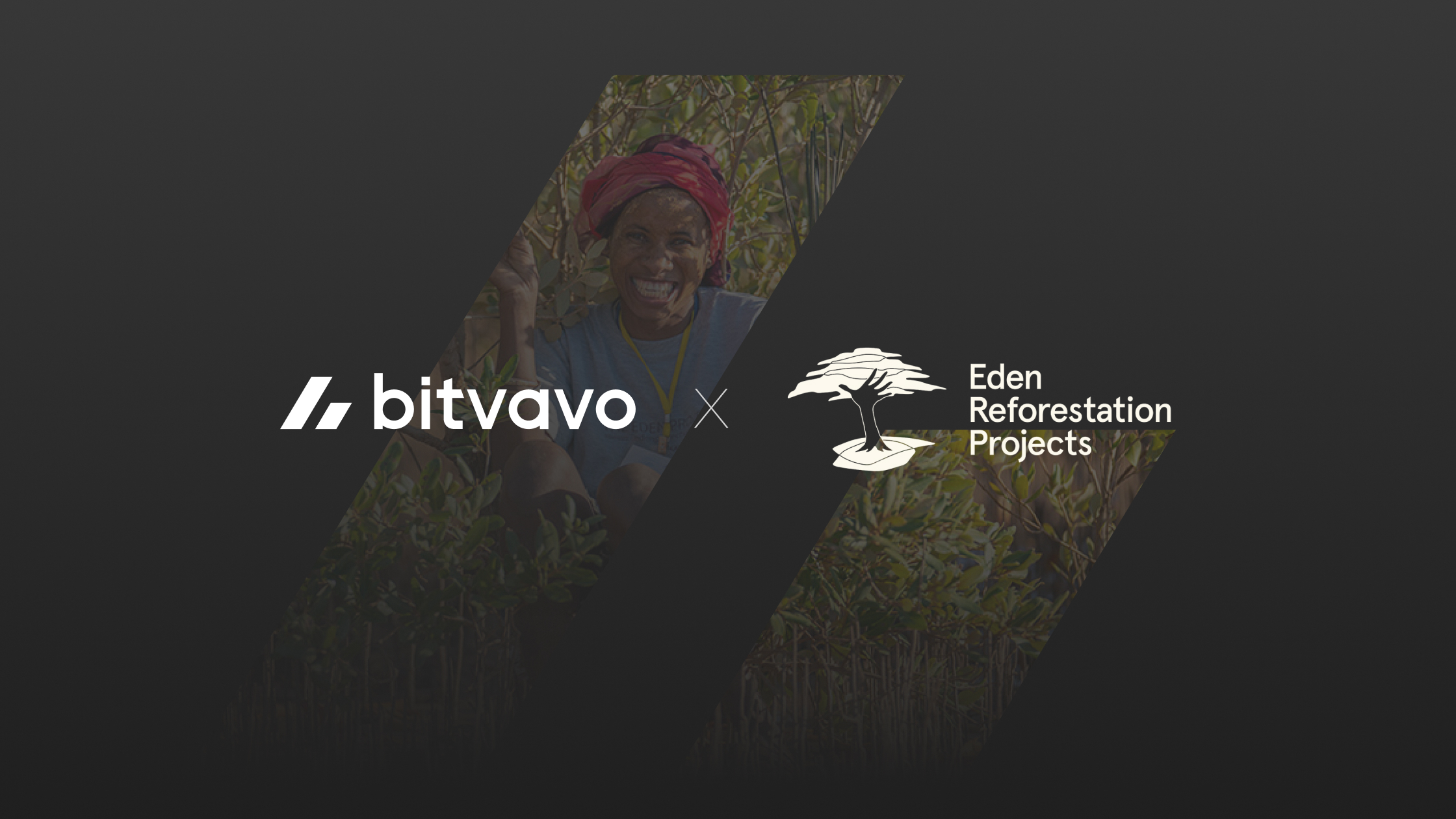 Partnership Bitvavo x Eden Reforestation Projects | Bitvavo.com