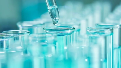 What Are the 10 Most Common STDs? | STDWatch.com