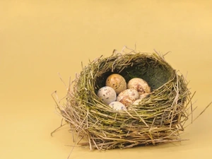 Fertile Window and Signs of Ovulation | STDWatch.com