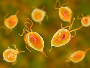 How Does a Trichomoniasis Test Work? | STDWatch.com