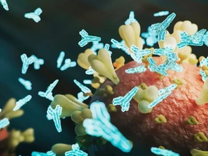 Everything You Need to Know About Endomysial Antibodies (EMA ...