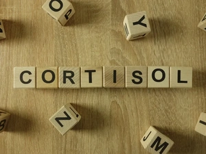What Is A Normal Cortisol Level In The Morning? | STDWatch.com