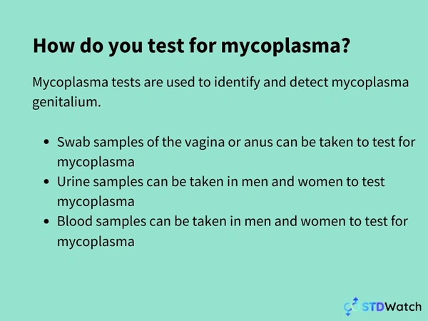 How does a mycoplasma test work? | STDWatch.com