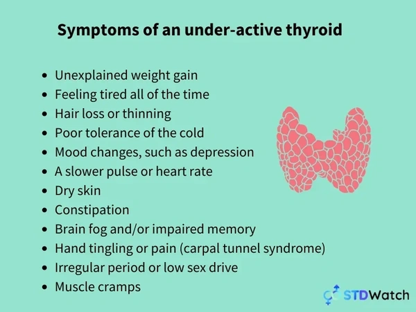 The Early Warning Signs of Thyroid Problems | STDWatch.com