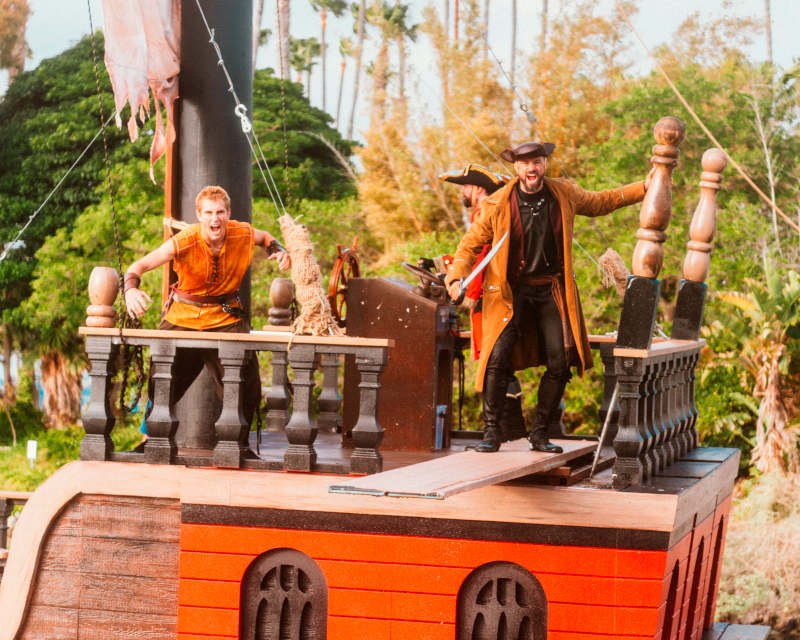 Dive into SeaWorld San Diego's 2024 Summer Spectacular | CityPASS® Blog