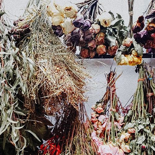 How to Dry Flowers: A Step-by-Step Guide