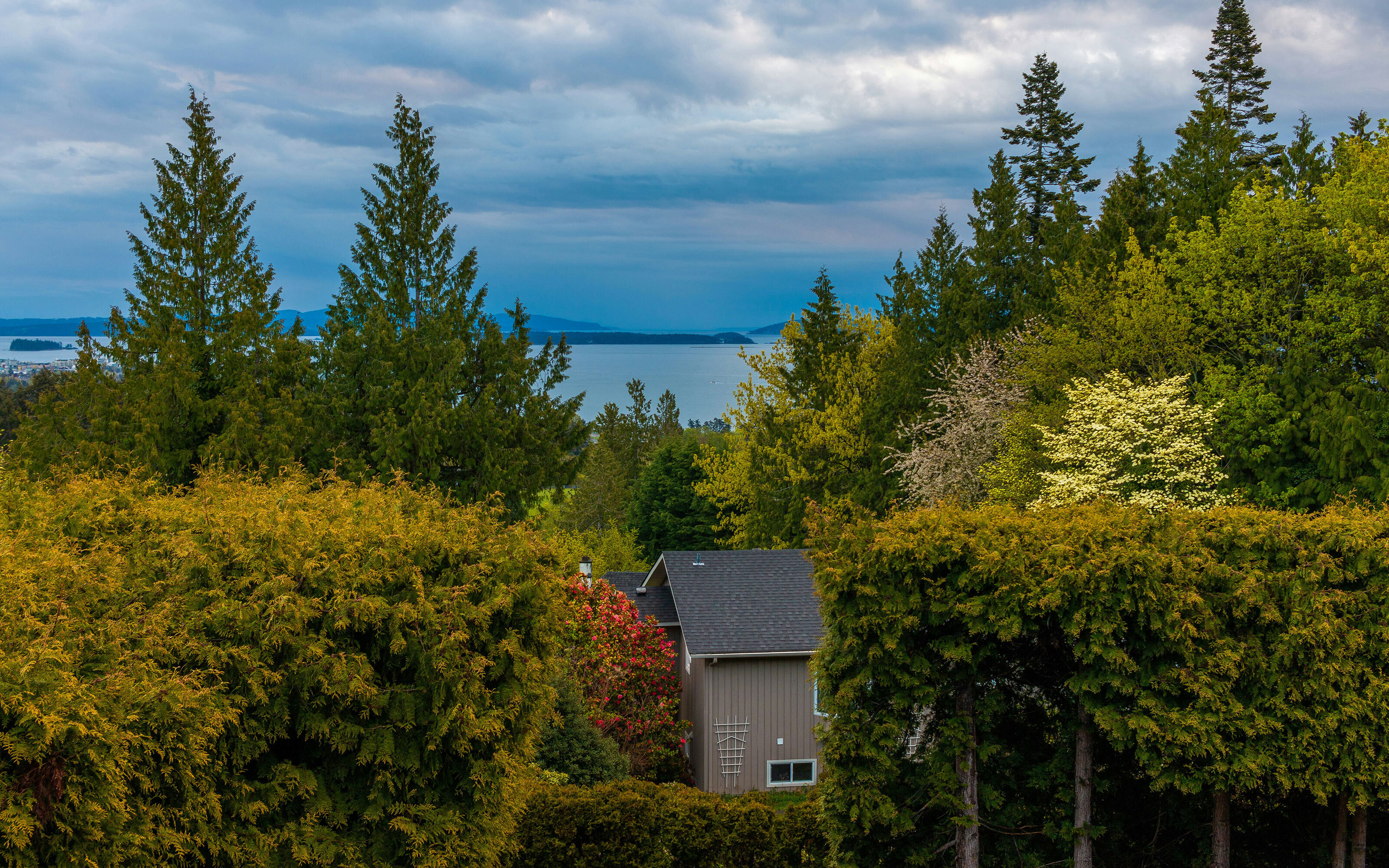 the victoria rennie advance | March 2024