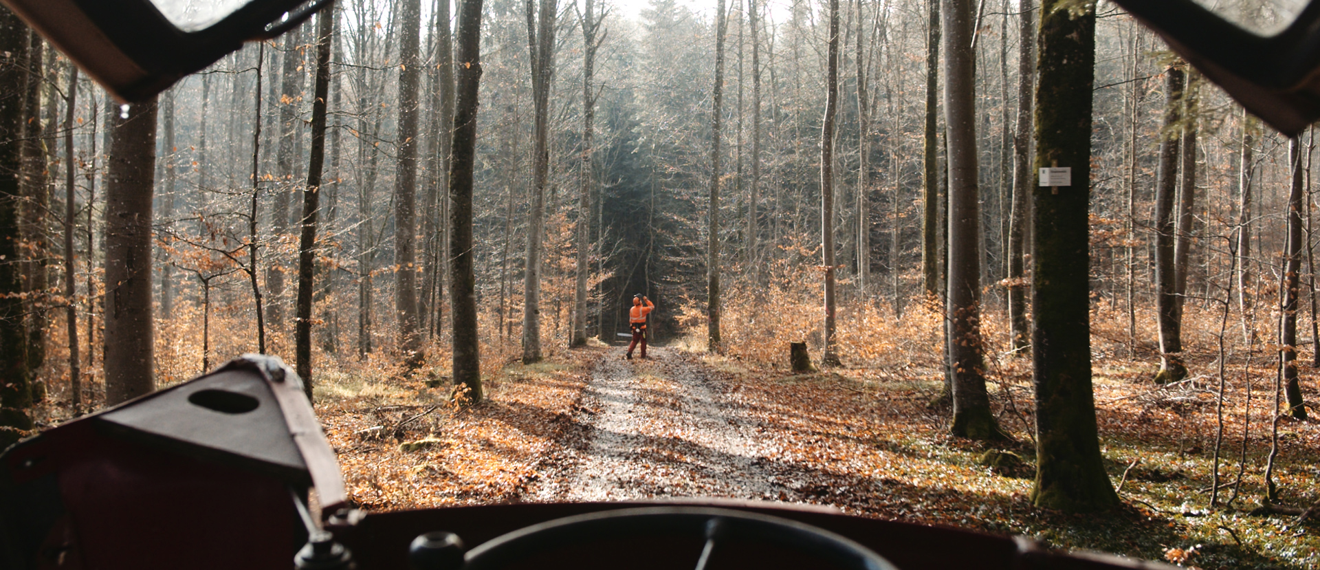 it's going down, i'm yelling timber