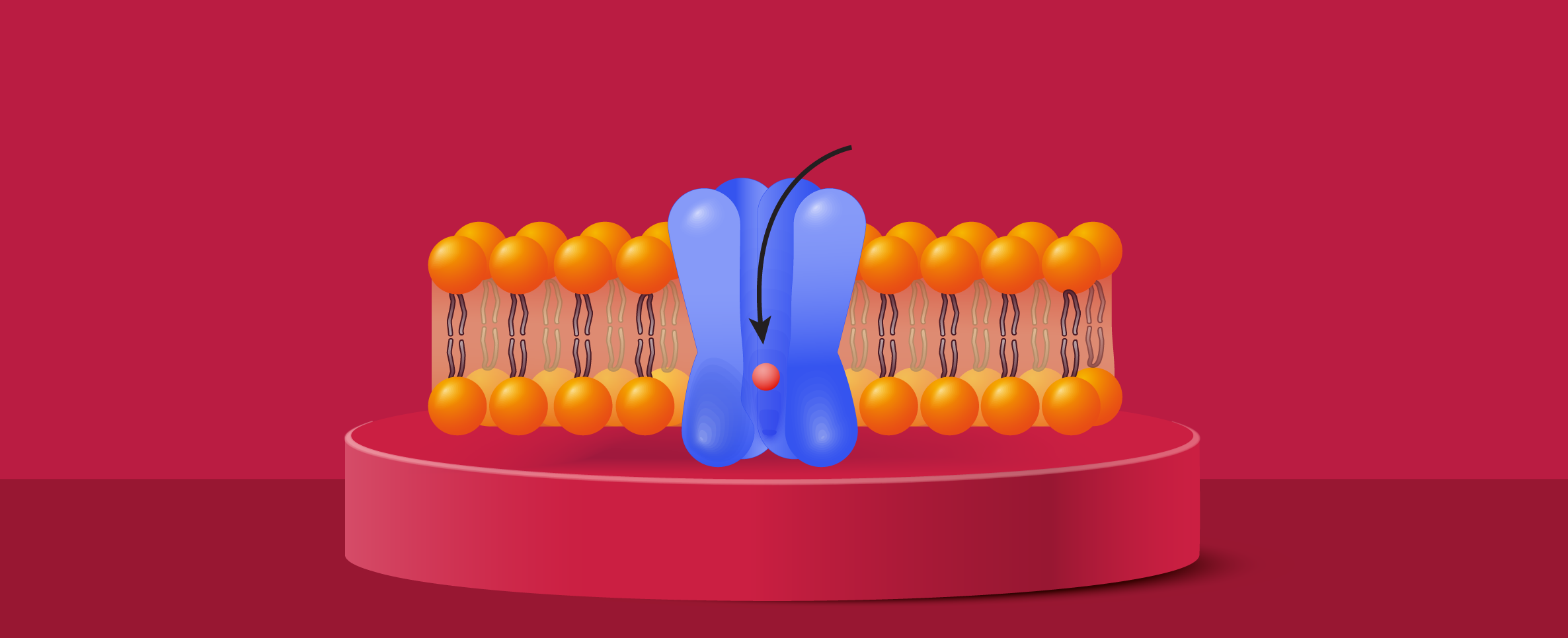 BioCentury - What’s next for voltage-gated sodium channel blockers