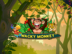 Play Wacky Monkey Slot Machine Demo