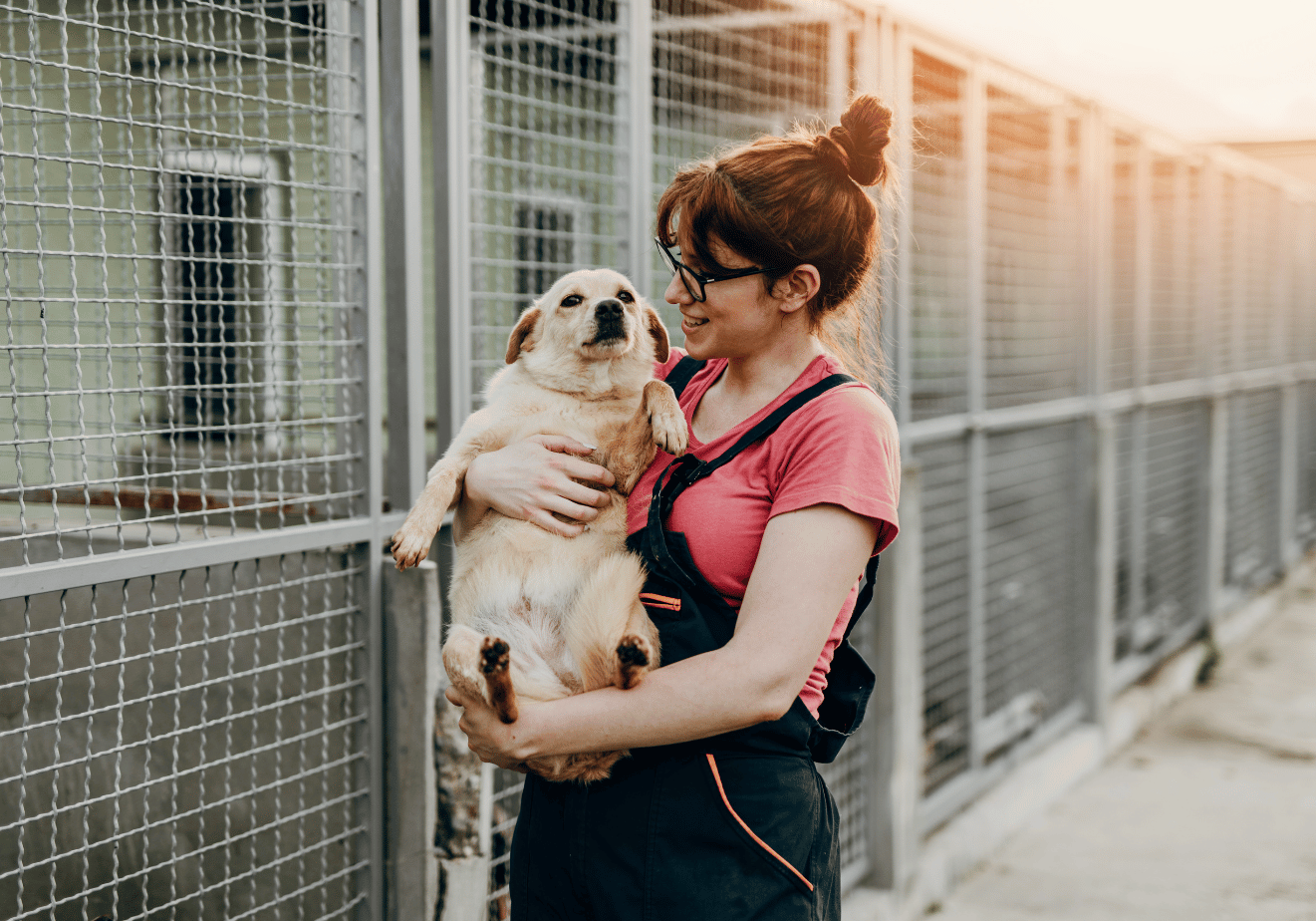 How to find the right place to work when looking for a job | Jora