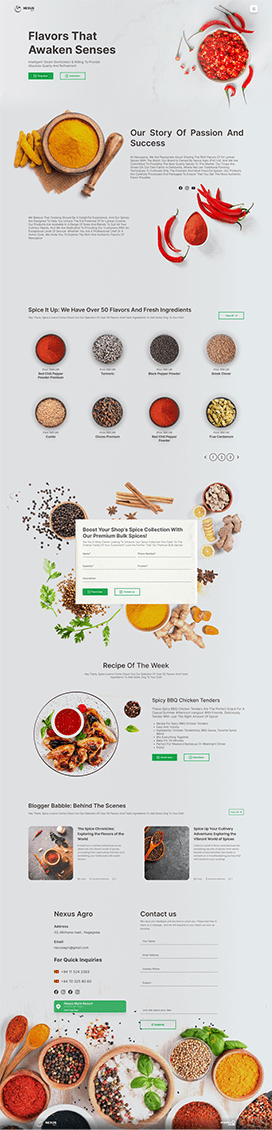 RevengerX's Portfolio