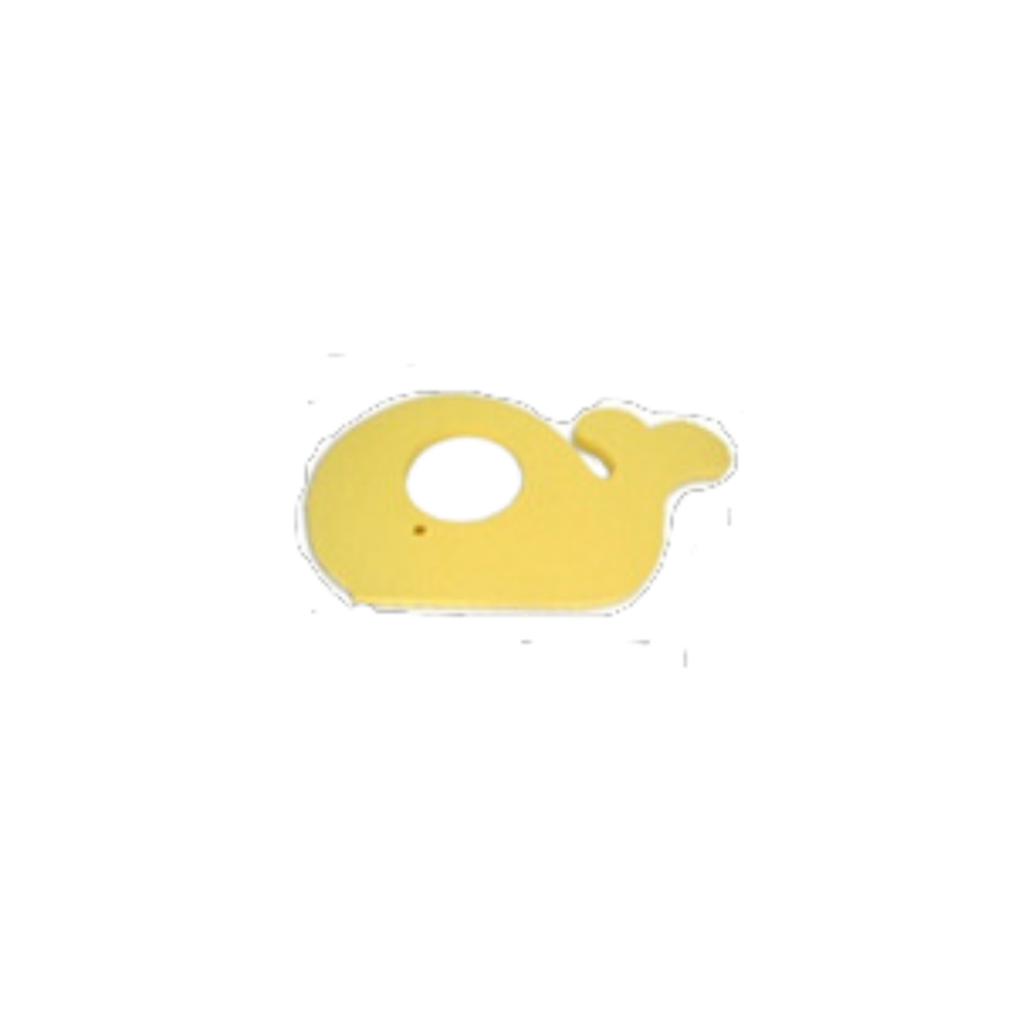 baleine-flottante-oc-lr