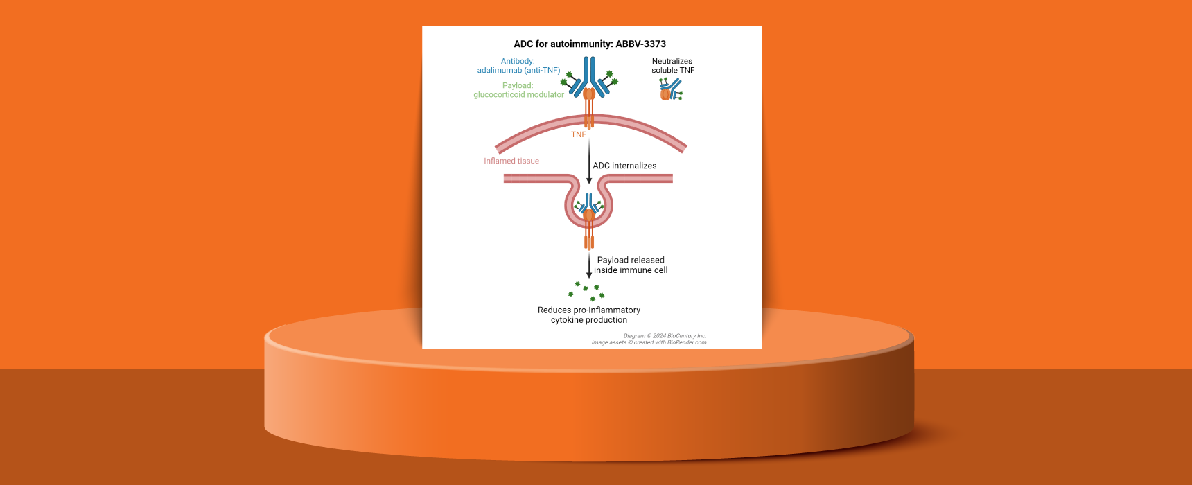 BioCentury - Science spotlight: AbbVie’s ADC for inflammation, plus ...