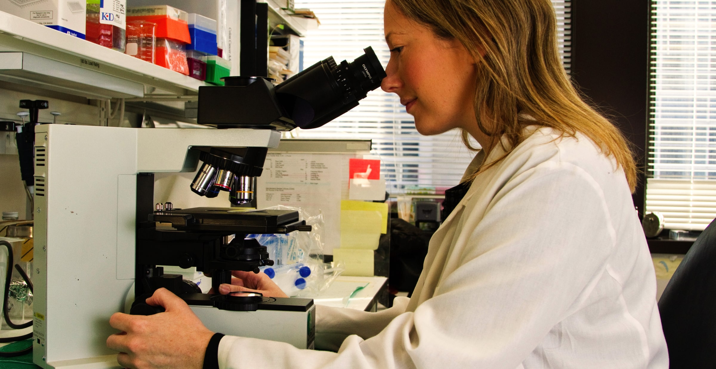 Travel Microbiology Technologist FAQs | Nomad Health