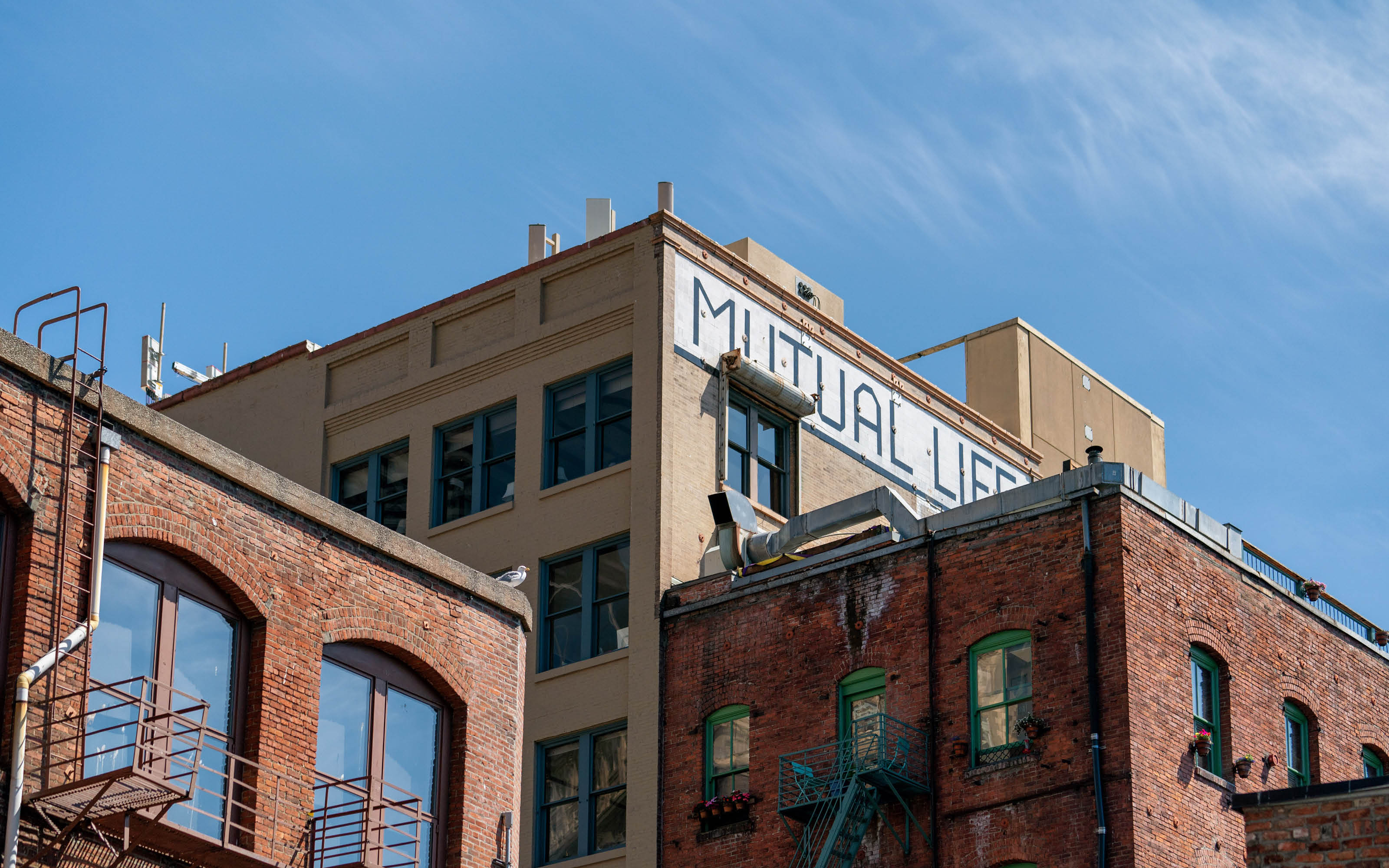 the seattle rennie review | June 2024