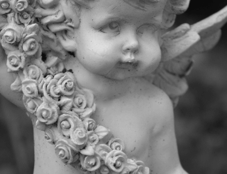 20 Angel Quotes to Inspire and Uplift Your Soul