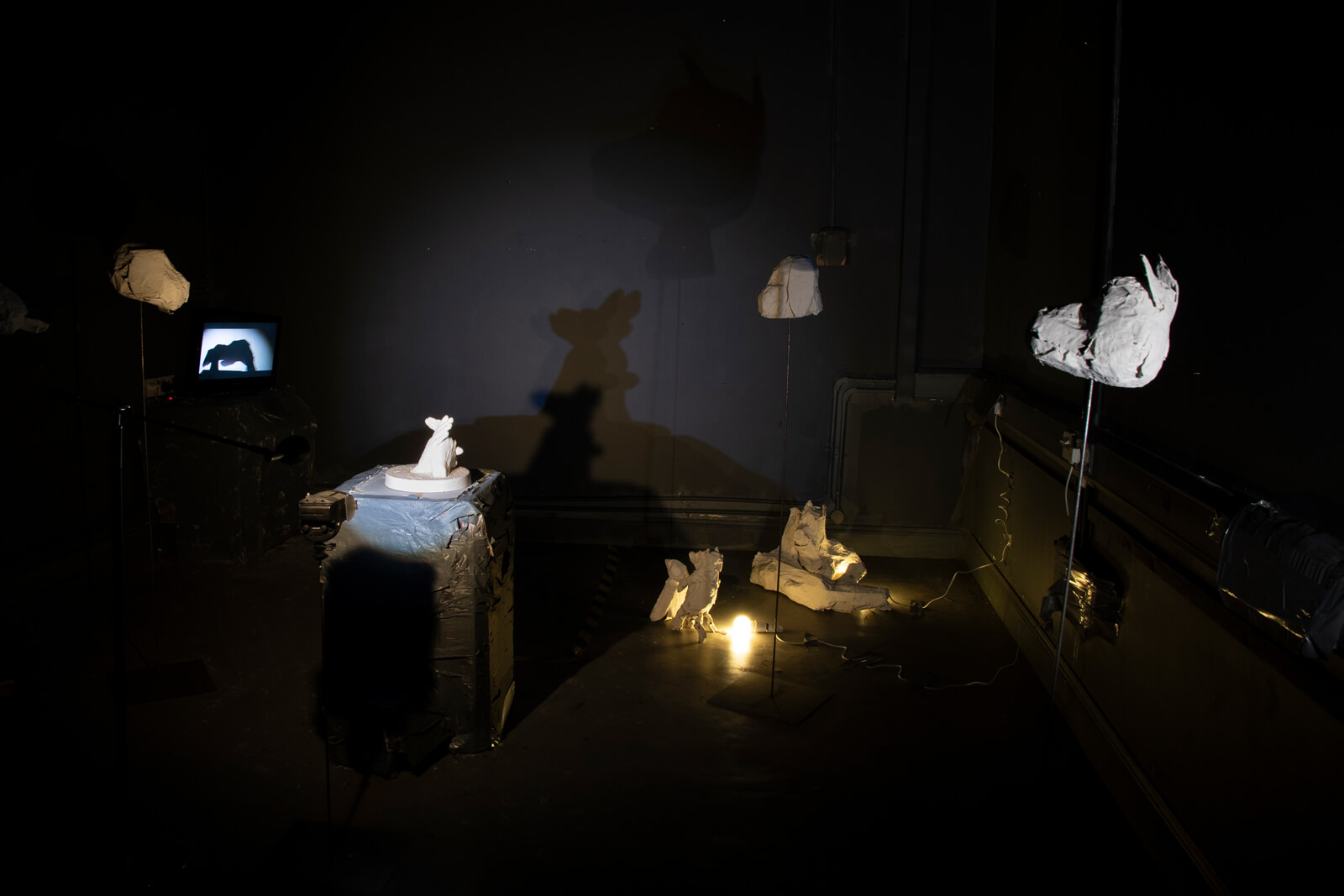 MTU Showcase | /artist/john-walsh