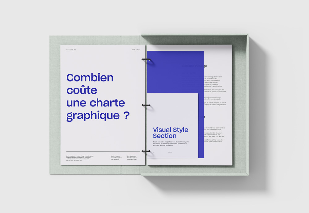 Les 100 meilleures chartes graphiques de marques connues | Combind