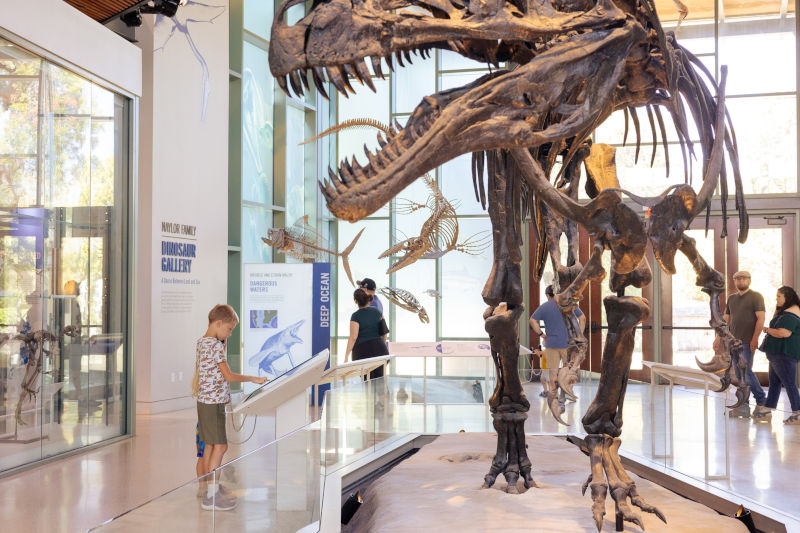 A Guide to the Witte Museum for First-Time Visitors | CityPASS® Blog